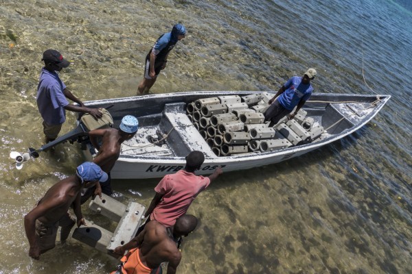 Partnership Reefsystems, Kenya - REEFolution