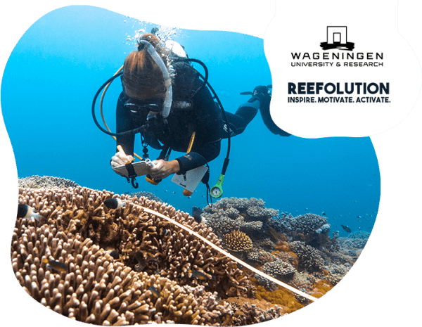 how we work - REEFolution