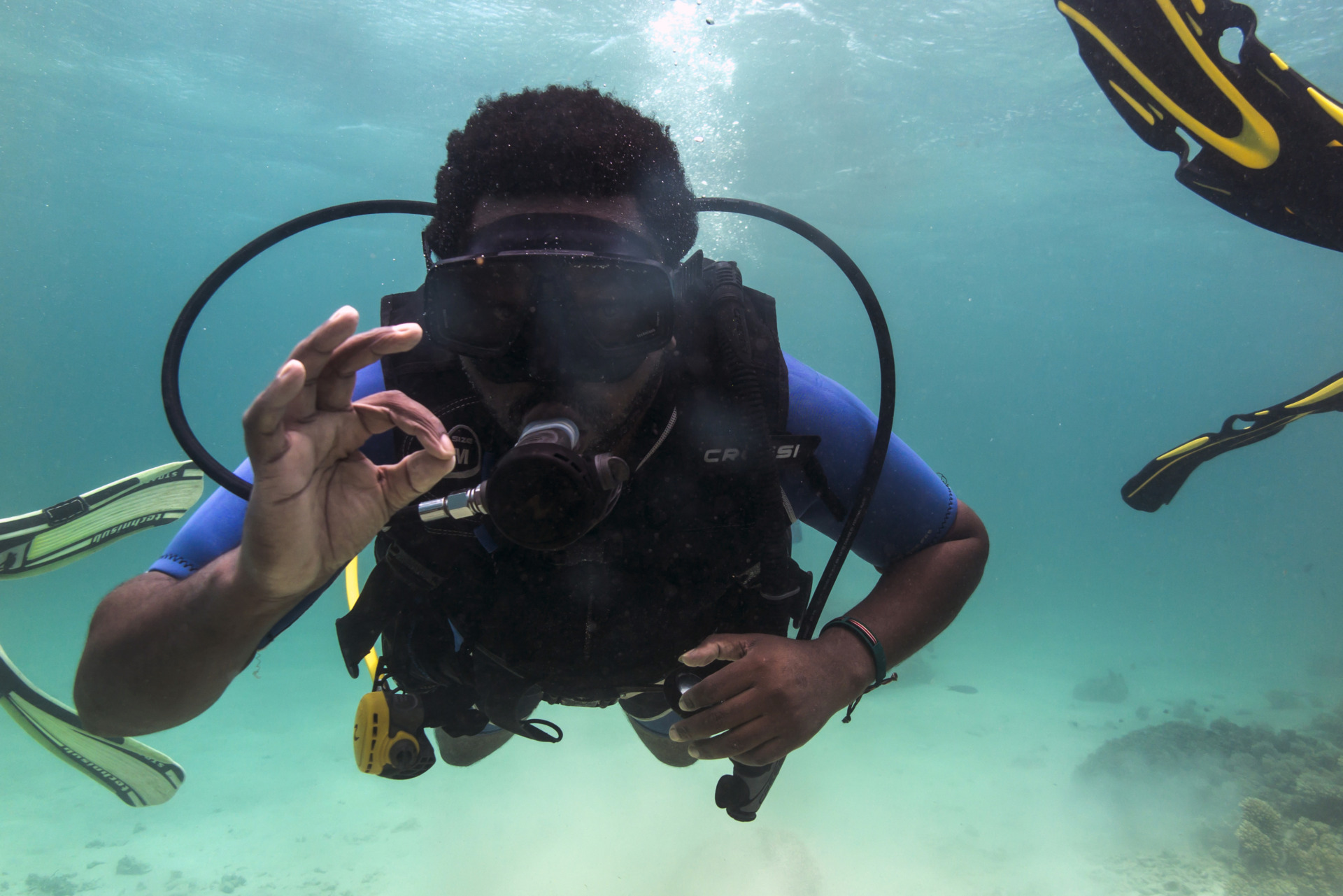 Homepage - REEFolution