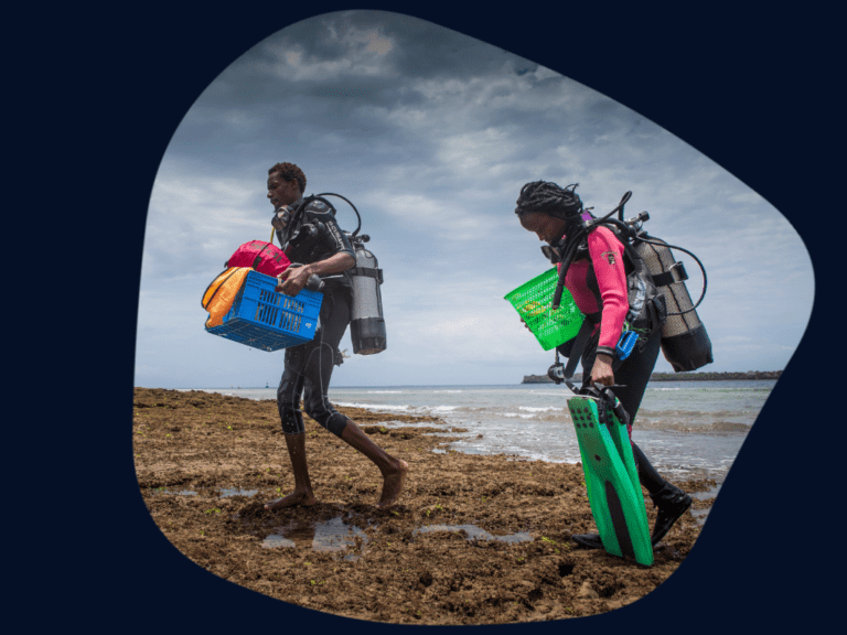 Reef Rangers - REEFolution