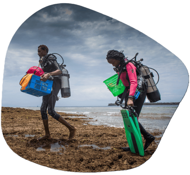 Reef Rangers - REEFolution